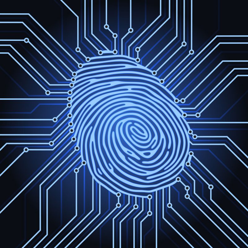 What is a Fingerprint Background Check and Should You Be Using Them? - Edge Information